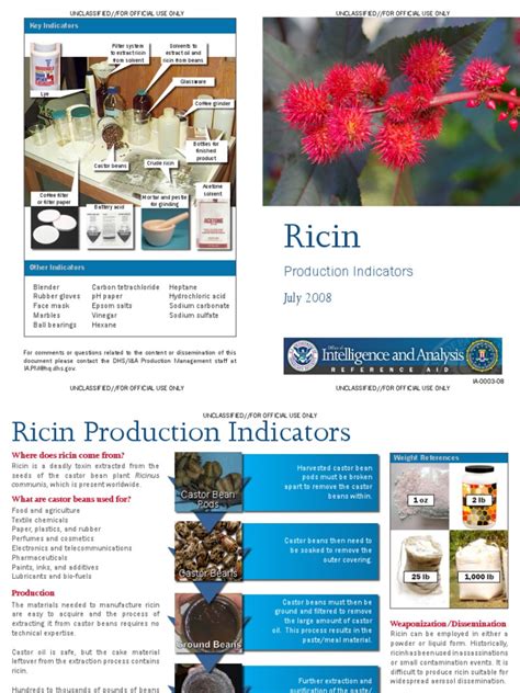 Ricin Production Indicators Pdf Physical Sciences Chemical Compounds
