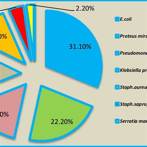 Types And Percentage Of Isolated Bacteria From Urine Samples Download
