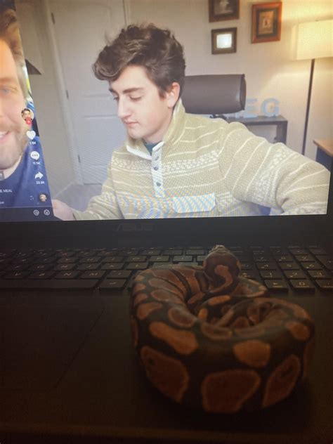 My Snake Enjoying Danny Rdannygonzalez