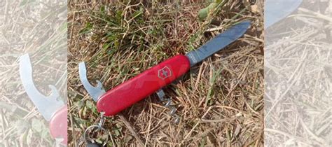 Нож складной Victorinox купить в Москве | Хобби и отдых | Авито