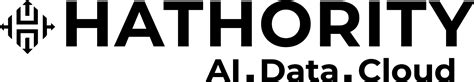Hathority Ai Data Cloud Data Integration Digital Transformation Services Boomi Netsuite