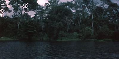 Lettres Du Liban Le P Re No L Est Un Encul