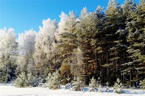 природа Владимир Социальная сеть ФотоКто