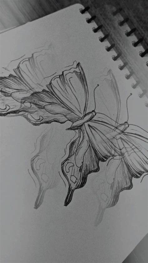 Butterfly Borboleta Art Drawings Sketches Pencil Sketchbook Drawings