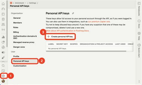 PostHog Connection BlinkMetrics