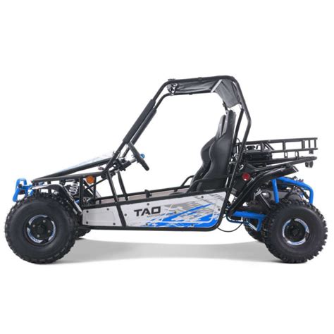 Tao Baja Sport 200 Gokart