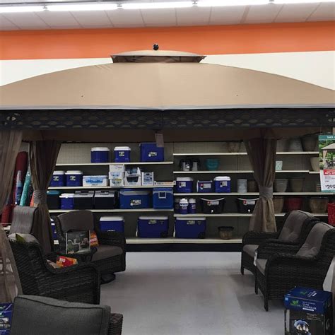 Susan Baumgartner Youtube