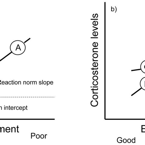 The Concept Of Reaction Norms Reaction Norms Are The Phenotypic