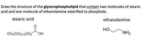 Solved Draw The Structure Of The Glycerophospholipid That