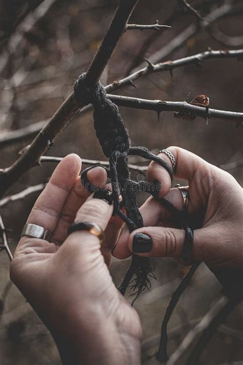 Female Hands Weaving A Macrame Braid On A Tree Stock Image Image Of