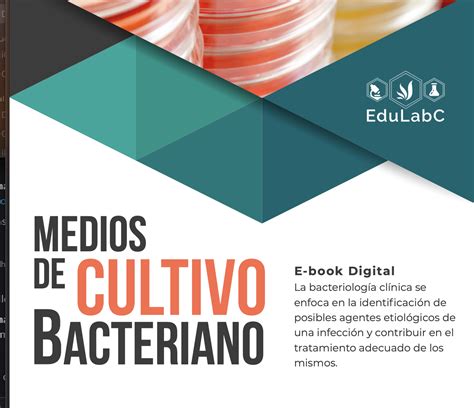 Ebook Digital Medios De Cultivo Bacteriano Educación Sobre Labo