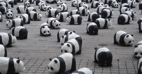 20 Pandas Functions Important For Data Analysis By Ravi Teja