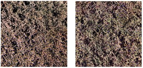 Exemplar Based Texture Synthesis Are Neural Networks The Solution Siam