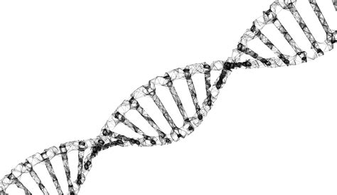Core Of The Month Dna Sequencing Core University Of Utah Health