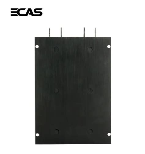 Sensitive Programmable 1219 8406 36v 48v Dc Motor Controller Apply To