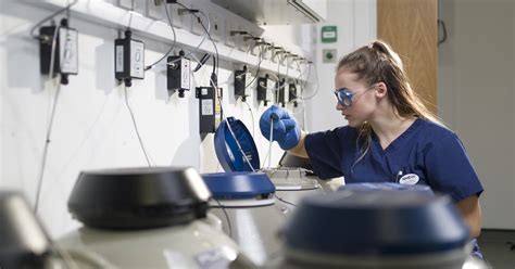 Why You Should Freeze Your Eggs Manchester Fertility
