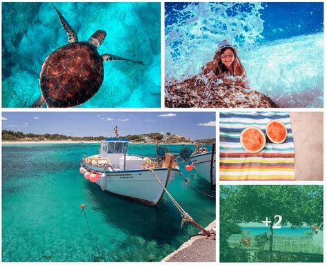 4 Best Wordpress Gallery Plugins Compared 2018 Supsystic