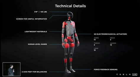 Elon Musk Reveals Tesla Bot At Ai Day Shacknews