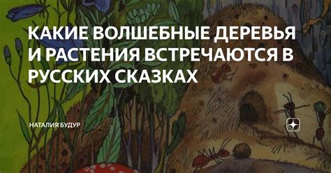 КАКИЕ ВОЛШЕБНЫЕ ДЕРЕВЬЯ И РАСТЕНИЯ ВСТРЕЧАЮТСЯ В РУССКИХ СКАЗКАХ Наталия Будур Дзен