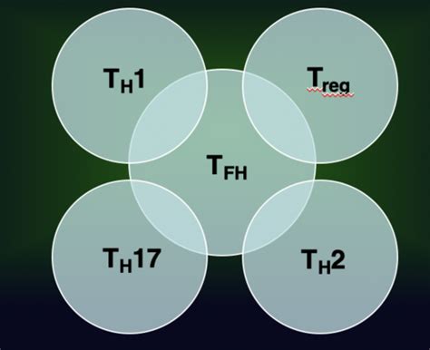 Lecture 12 Chapter 8 Pt2 Flashcards Quizlet