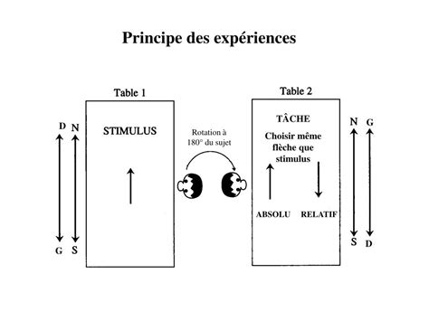 Ppt Espace Perception Et Langage La Question Des Cadres De R F Rence Powerpoint Presentation