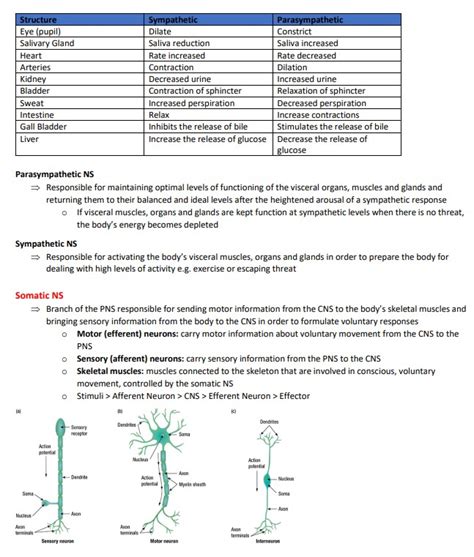 VCE Psychology Notes ATAR NoteXchange