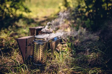 Premium Photo Closeup Of A Bee Smoker On A Grassy Ground