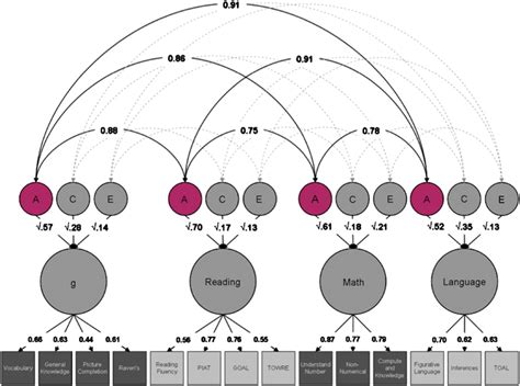Multivariate Common Pathway Genetic Analysis In Which Each Latent Download Scientific Diagram