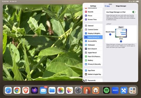How To Hide Recent Apps In Stage Manager On IPad