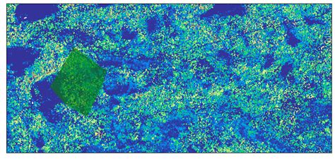 Crop A Spatial Raster Dataset Using A Shapefile In Python Earth Data Science Earth Lab
