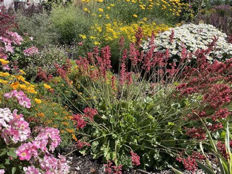 Xeriscape Gardening Classes With Oxa Okanagan Xeriscape Association