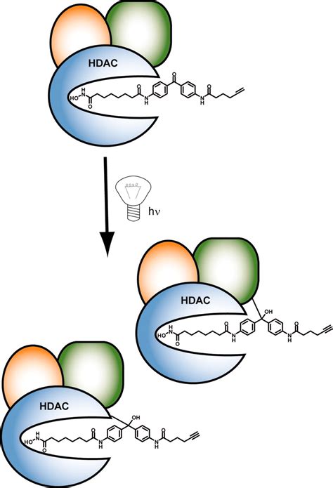 In This Issue PNAS
