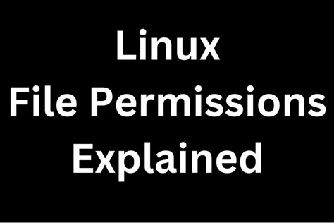 Linux File Permissions Explained Php Coders Usa