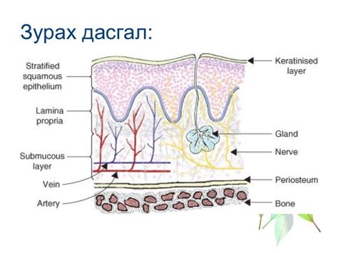 бие даалт №1 салст