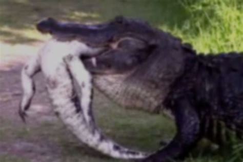 Silicon Valley Remix Uncrate