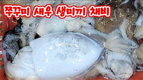 쭈꾸미낚시 새우 오징어 미꾸라지 생미끼 채비로 잡아보자 ~ Youtube