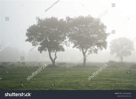 Multiple Fields Images Stock Photos Vectors Shutterstock