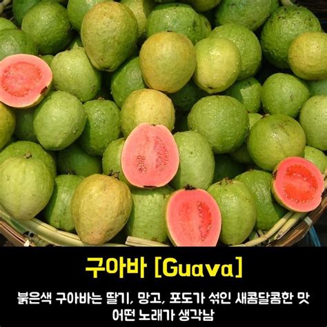 열대과일 종류 네이버 블로그