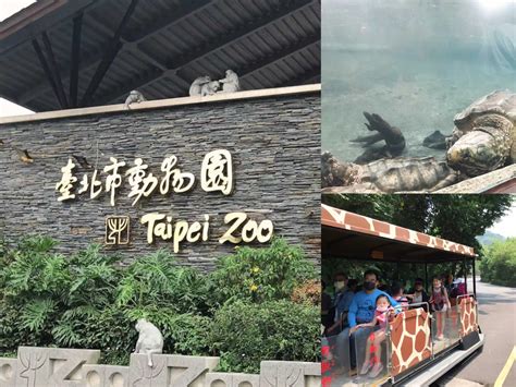 臺北木柵動物園｜臺北景點、全臺最大動物園、親子景點｜景點資訊 －嗨放havefunday