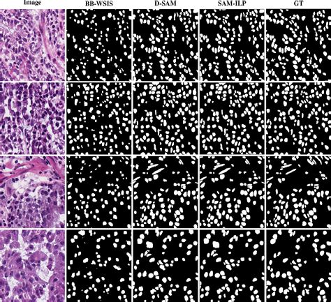 Figure From Guided Prompting In Sam For Weakly Supervised Cell