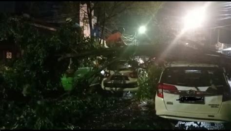Hujan Disertai Angin Kencang Di Bogor Pohon Tumbang Timpa 3 Mobil