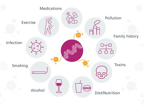 What Is Epigenetics Genomics Education Programme