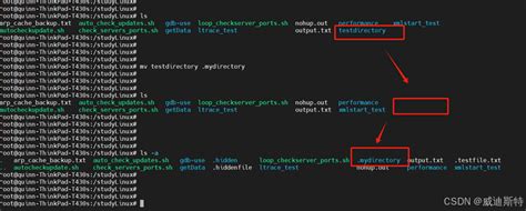 linux命令使用 如何在linux中隐藏文件和目录 linux隐藏文件 csdn博客