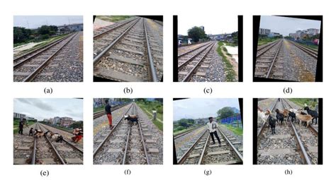 collected dataset sample download scientific diagram