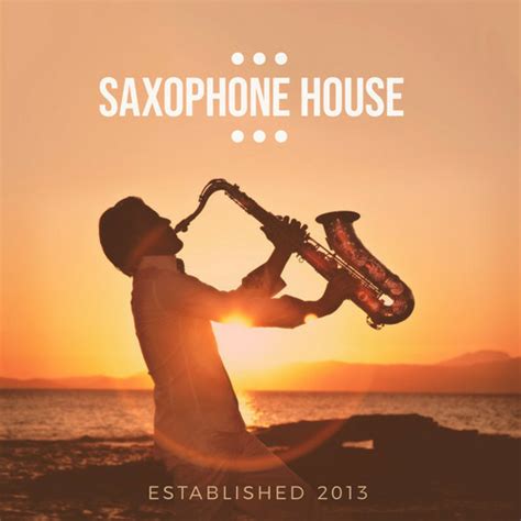 Stream Tom Sansone Listen To Saxophone House 2024 Tropical Chill