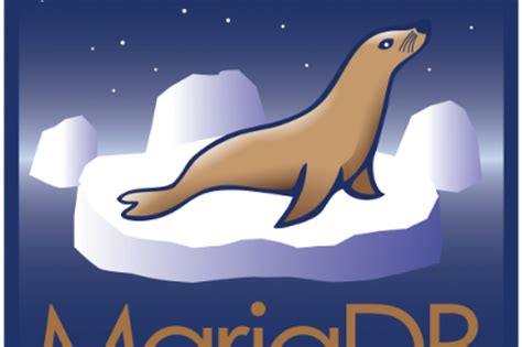 Les Dernières Versions De Mariadb Enterprise Marient Sql Et Nosql Le Monde Informatique