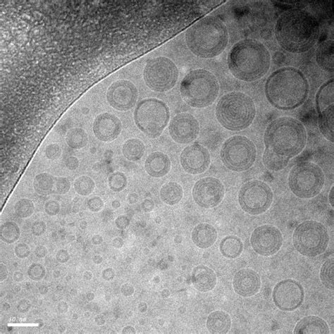 Nanoparticle Vaccine Offers Better Protection MIT News Massachusetts Institute Of Technology