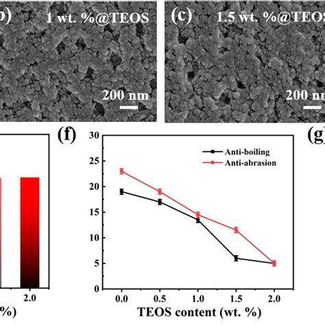 Surface SEM Images Of The PAA TEOS SiO2 Coating With Different Mass