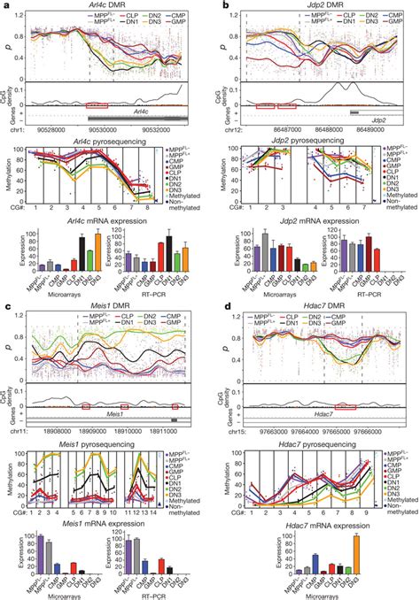 CHARM Identified Genes With Previously Unknown Functions In