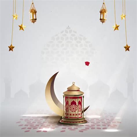 Sara El Waziry Posted On Linkedin